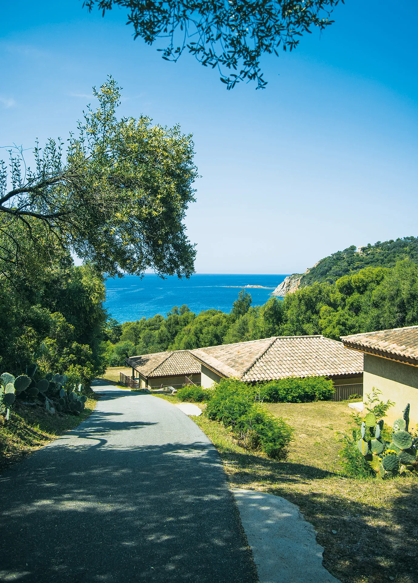 Le Domaine de Rocca Marina - Ternélia